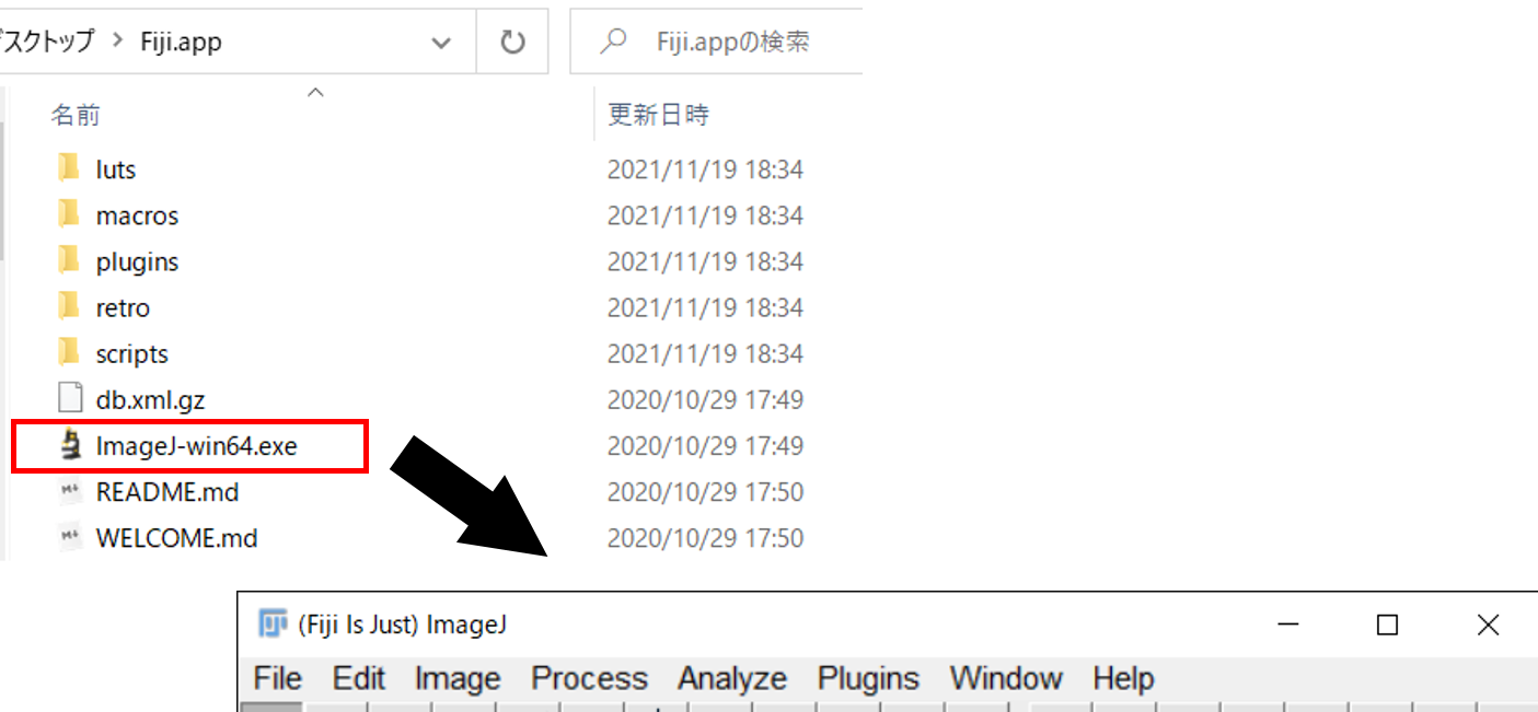 ImageJ・Fijiのインストール(windows) | Life and Materials